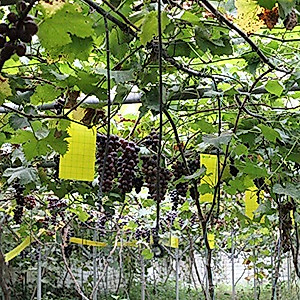 Faicuk 20-Pack Dual-Sided Yellow Sticky Traps for Flying Plant Insect Like Fungus Gnats, Aphids, Whiteflies, Leafminers - (6x8 Inches, Twist Ties Included)