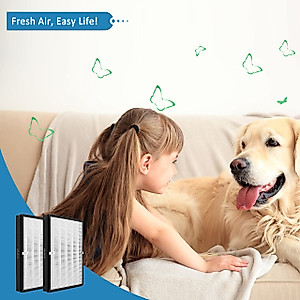 Rioche TT-AP003 Premium H13 True HEPA Replacement Filter, Compatible with TaoTronics TT-AP003 Air Purifier, 3-in-1 Premium H13 True HEPA Filter, 2-Pack