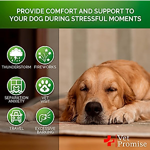 Hemp Calming Chews for Dogs Anxiety - Advanced Dog Calming Chews - 170 Chews - Dog Anxiety Relief with Hemp Oil - Calming Treats for Dogs - Hip and Joint Supplement Health Support for Dogs