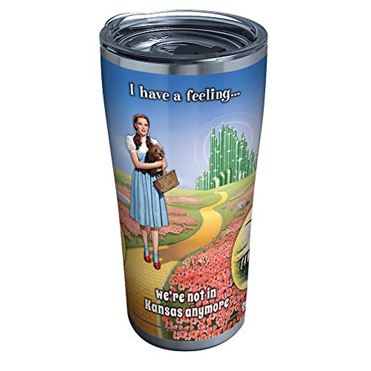 Tervis THE WIZARD OF OZ Triple Walled Insulated Tumbler, 1 Count (Pack of 1), We're Not in Kansas Anymore