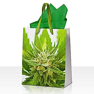 Gift Bag with Tissue, Medium Size, Hemp Bud Print, with Cotton Handles