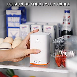 Airthereal PA300-GO Portable Ozone Generator - Cordless Battery Powered Odor Eliminator for Refrigerator, Car, Travelling, Shoe Cabinet, and Other Small Spaces, White 1-Pack