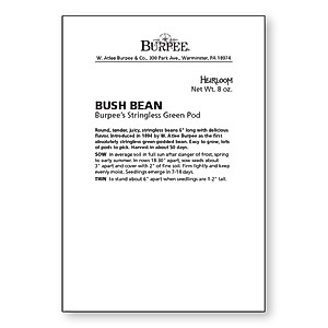 Burpee Stringless Green Pod Bush Bean Seeds 8 ounces of seed