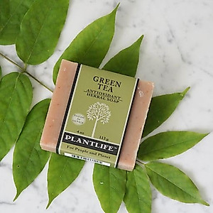 Plantlife Green Tea Bar Soap - Moisturizing and Soothing Soap for Your Skin - Hand Crafted Using Plant-Based Ingredients - Made in California 4oz Bar