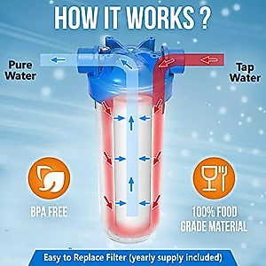 10 Inches European Design Transparent Standard Whole House Water Filter System with Presser Relief Valve, 3/4” Inlet/Outlet Brass Port and Yearly Supply (4) Sediment Cartridges 5 Micron