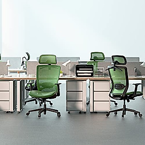 FLEXISPOT Office Chair Home Office Desk Chairs with Wheels Computer Chair with Lumbar Support Swivel Headrest Green