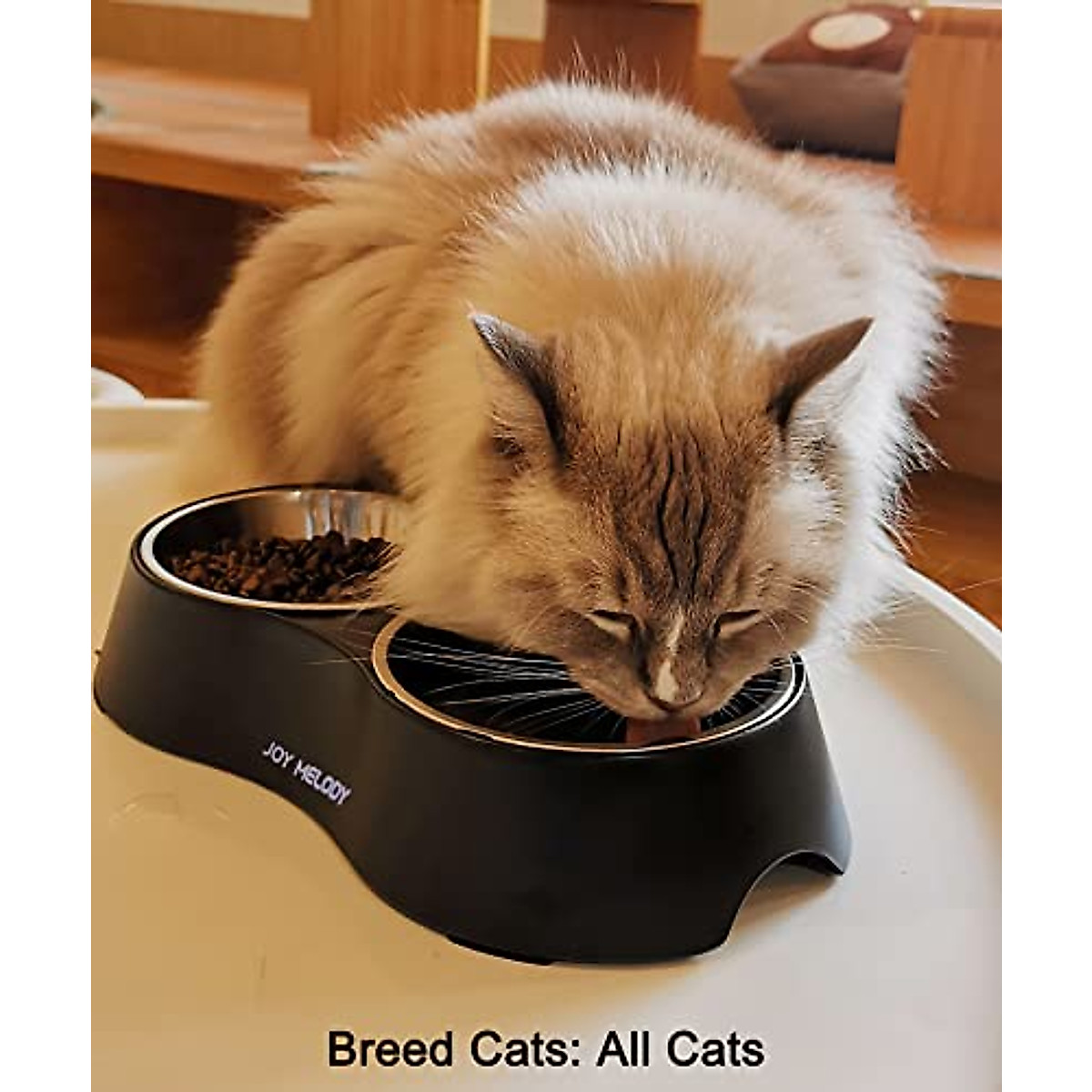 Joy Melody Cat Bowls with Stand for Food and Water, Anti-Slip Elevated Small Dog Dish, Anti-Flip Raised Pet Feeder, Dishwasher Safe with Microfiber Cloth