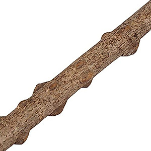 Wooden Parrot Grinding Stand Toy, 1.5~2.5 * 25cm Wooden Parrot Stand Holder Bird Chew Hanging Cage Toy Paw Grinding Bar for Small Medium Birds