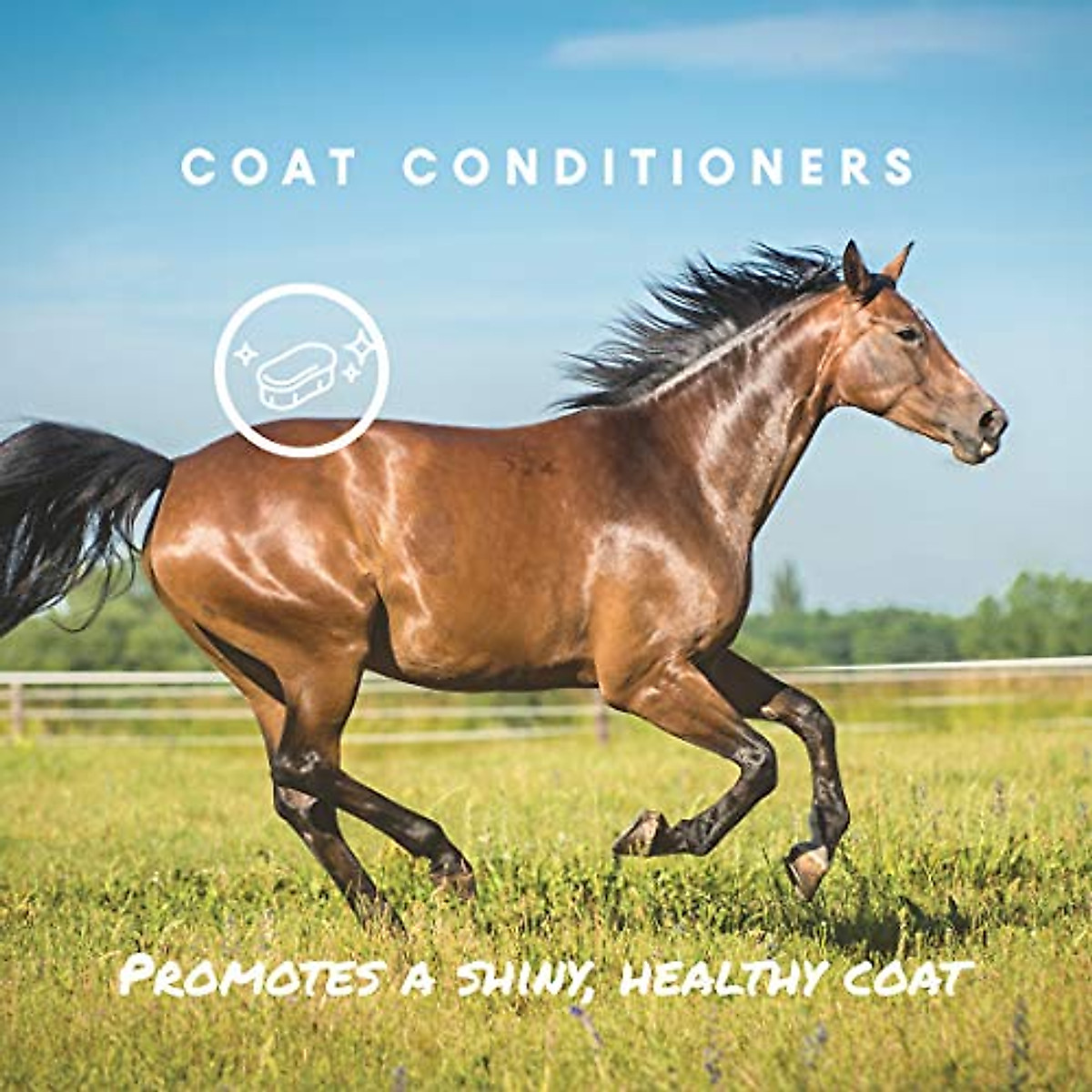 Espree Aloe Herbal Horse Spray | Fly Repellent with Aloe, Sunscreen, and Coat Conditioners | Promotes a Healthy Coat and Protection from The Sun | 32 oz Ready to Use