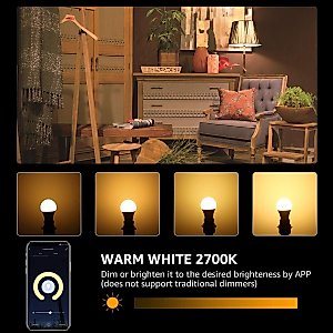 Lighting EVER LED Smart Light Bulbs, Compatible with Alexa and Google Assistant, 60 Watt Equivalent, Dimmable with App (Not Support Traditional Dimmers), Warm White 2700K, A19 E26, 2.4GHz WiFi Only