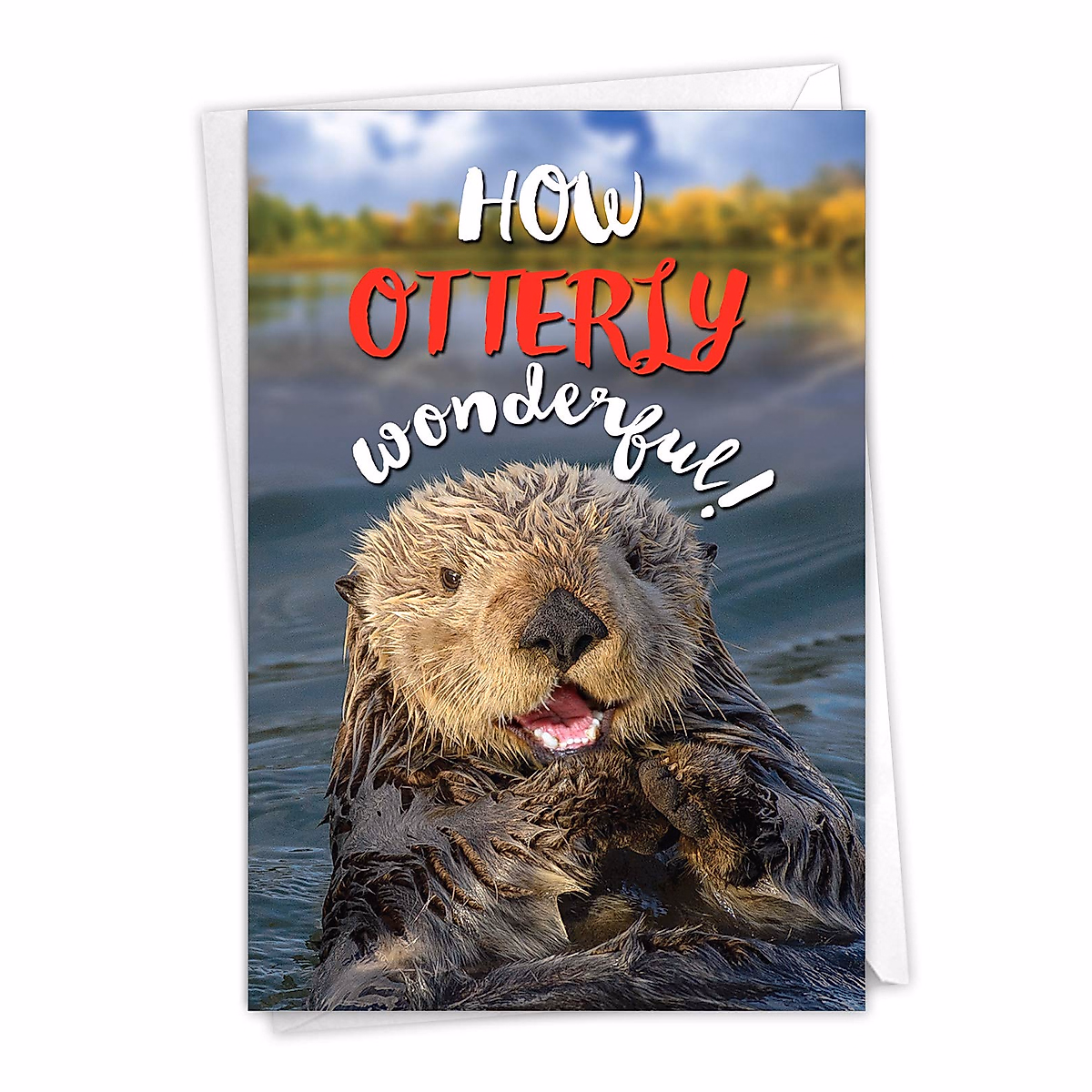 NobleWorks - Fun Congratulations Card with Envelope - Congrats Humor, Encouragement Greeting - Otterly Awesome C6574FCGG