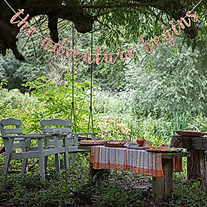 WeBenison The Adventure Begins Banner for Bridal Shower, Baby Shower, Engagement, Job Change, Farewell, Graduation Party Decorations Rose Gold Glitter Retirement Banner