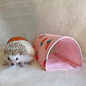 Handmade Small Animal Tunnel Sleeping Hideout Cave Nest with Canvas for Hedgehog Guinea Pig Hamster Rat Ferret Hamster Squirrel and Other Small Animal Beds (Strawberry)