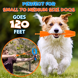 Funwares Ring Strike Fetch, Launcher for Dogs, Fetch Toy for Medium and Small Dogs