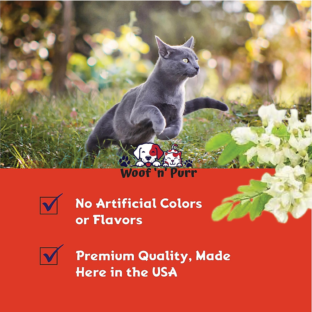 Natural Cat Antibiotic - Antibiotics for Cats - Pet Antibiotics - Cat Antibiotics - Cat Allergy Relief for Cats - Antibiotic for Cats - Cat UTI Antibiotics - 1 fl oz: Roast Chicken Flavor