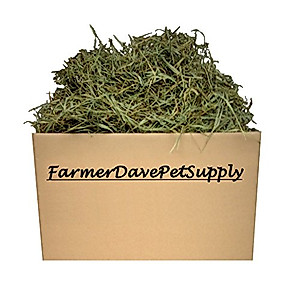 10 Lb Second Cut Timothy Hay, Bunny, Guinea Pig and Chinchilla Hay