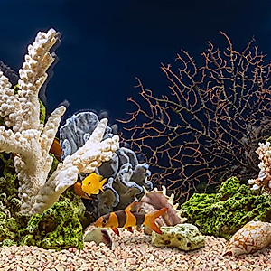 Future Way 5lbs Pea Gravel for Plants, Fish Tank, Aquarium, Terrarium, Succulent, 3/8 Inch Small Pebbles for Indoor and Outdoor Decor