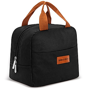 DANIA & DEAN Insulated Lunch Bag, Durable Freezable Lunch Box for Women/Men/Kids Double Zippers Wide Open Tote Bag Leakproof Thermal and Cooler Reusable Lunch Box for Office/School/Outdoor(Black)