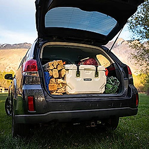 Lifetime 48 Quart High Performance Hard Cooler