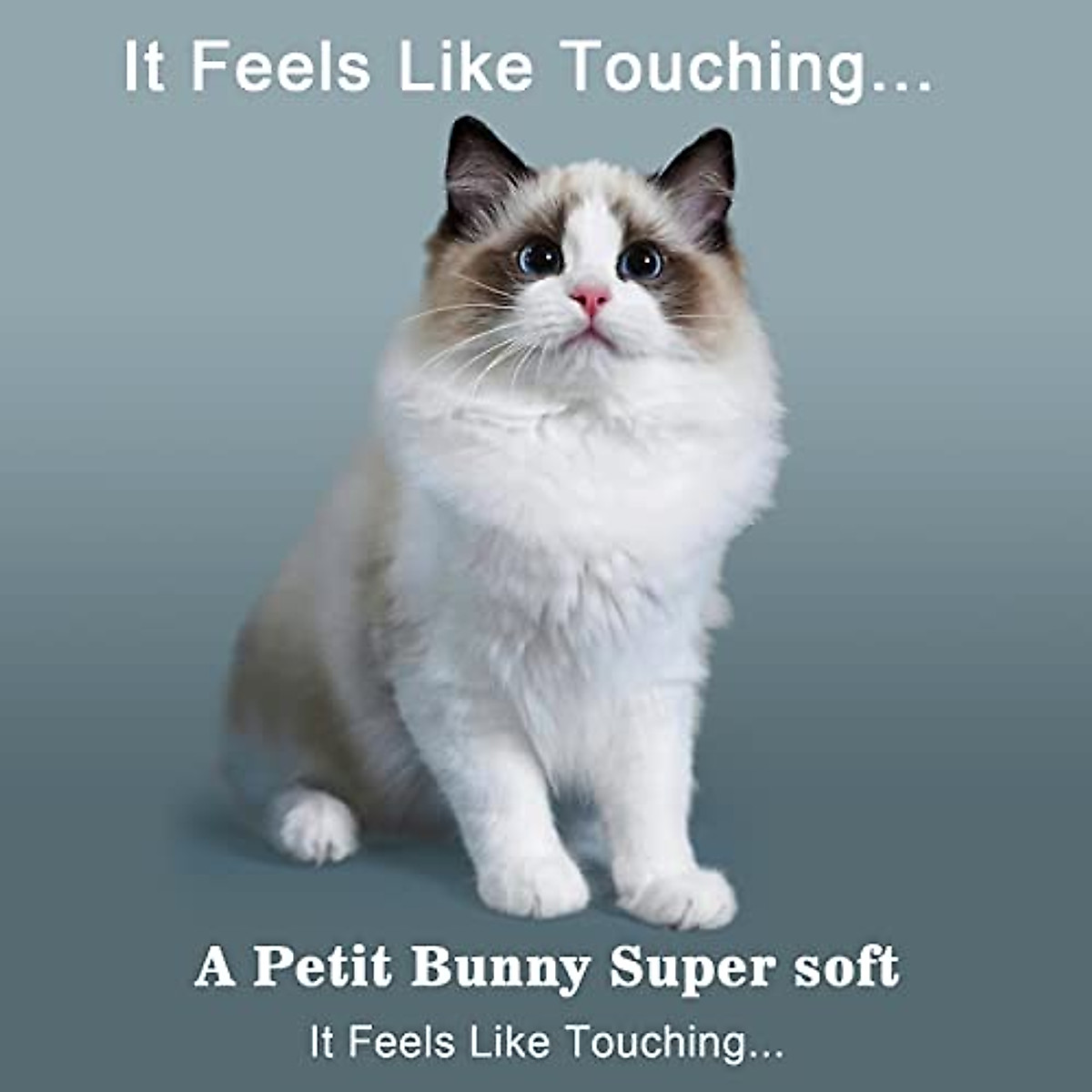 Enimib Oversized King Blanket 120 x 120 Inches, Extra Large Soft Warm Lightweight Flannel Fleece Thick Throw Blanket 10'x 10', Plush Microfiber Fluffy Big Blanket for Couch/Bed/Sofa Camping Grey