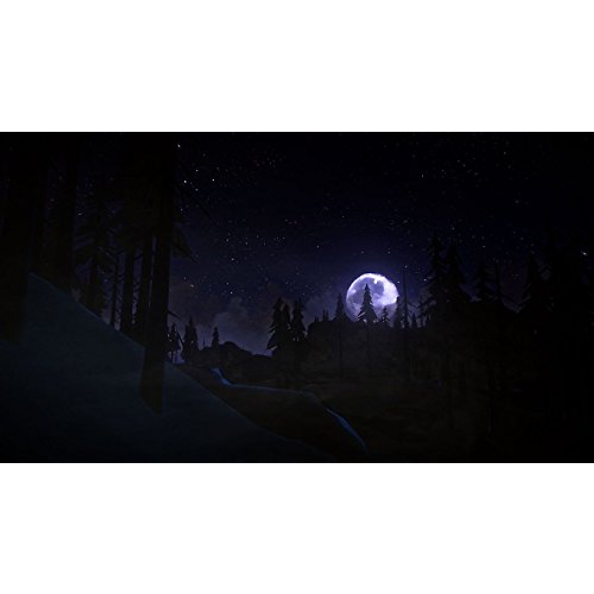The Long Dark - PlayStation 4