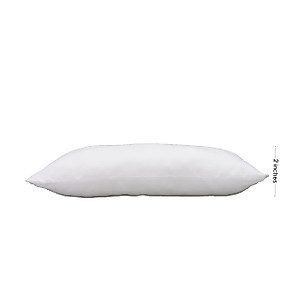 Pal Fabric Premium Washable Made in USA Toddler Pillow Insert (14x20)