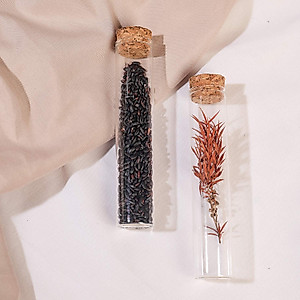 JODIO Glass Test Tubes,18PCS 55ml Clear Flat Test Tubes with Corks Stopper,for Scientific Experiments, Party Decorations, Candy Storage,as Bath Salt Containers(25x120mm)