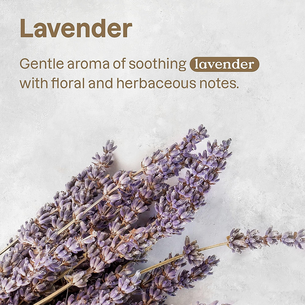 ATTITUDE Air Purifier with Activated Carbon Filter, Plant- and Mineral-Based Ingredients, Traps Pet Odors and Pollutants, Vegan and Cruelty-free, Lavender, 8 Ounces