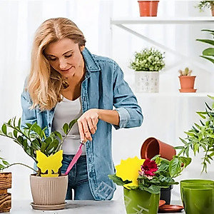 Springco Yellow Sticky Traps 40 Pack Fruit Fly Traps Gnat Sticky Traps for Indoor/Outdoor House Plants Flower Fungus Traps Insect Catcher for Mosquitoes, Bug,White (35（35+4+1） 40pack)