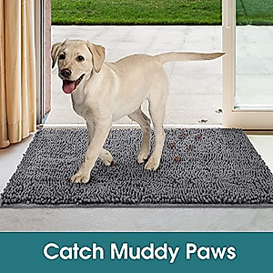 HOMEIDEAS Absorbent Dog Rug, Door Mat for Dog & Cat, Microfiber Chenille Dog Mat for Paws, Non Slip Indoor Door Rug, Pet Rug for Crate, Machine Washable Quick Drying Entry Rug, Grey, 24''x36''