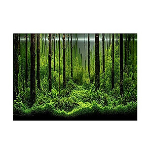 Aqrium Background, 3D Effect Waterproof Fore Landsce Underwater Fish Tank Backdrop Poer Decoration PVC Adhesive Sticker(12246Cm)