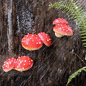 NUOLUTH Glow-in-The-Dark Mushroom, Lawn Ornaments, Set of 3 Mushroom Shelf Wall Decor - Mushroom Tree Decorations Outdoor, Mushroom Statue Figurines, Fairy Garden Decor Accessories