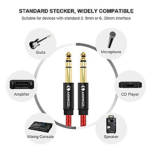 ANNNWZZD 6.35mm(1/4) TRS to 6.35mm(1/4) TRS Stereo Audio Cable 6 Foot Male to Male -(6ft/6FT)