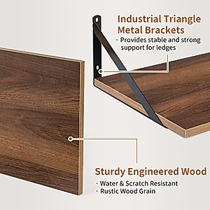 Axeman Walnut Floating Shelves 12 Inch Deep, Rustic Wall Mounted Floating Shelves Set of 2, 16W x 12D Floating Wall Shelves for Decor & Storage, Walnut Shelves Living Room Bedroom Bathroom, Walnut