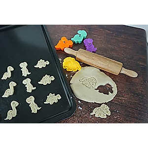 R & M International Dinosaur Cookie, Set of 4 Stamper, one size, Colors may vary