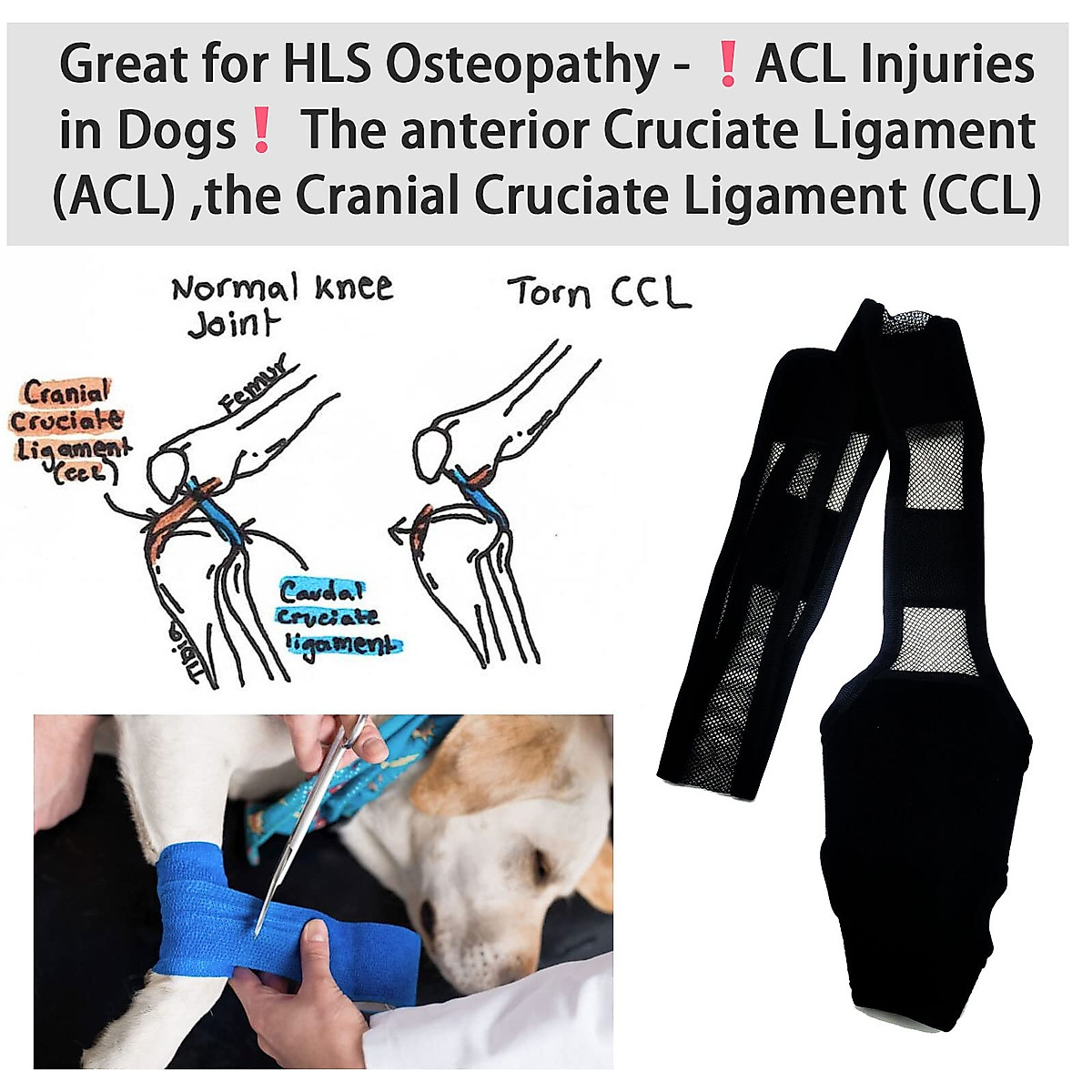 Pacify Dog Knee Brace, Dog Leg Braces for Back Leg, Dog Knee Brace for Torn ACL Hind Leg for Keep The Joint Stable and Warm(Large)