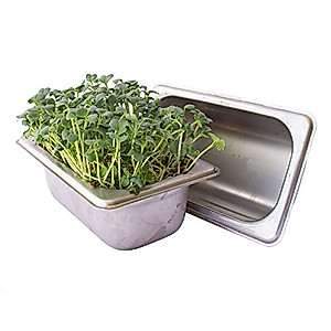 Trellis + Co. Stainless Steel Hydroponic Microgreens Growing Kit - Infinitely Reusable Hydroponic Kit for Microgreen Seeds & Wheatgrass Seeds - Easy Soil-Free Sprouting System for Your Indoor Garden