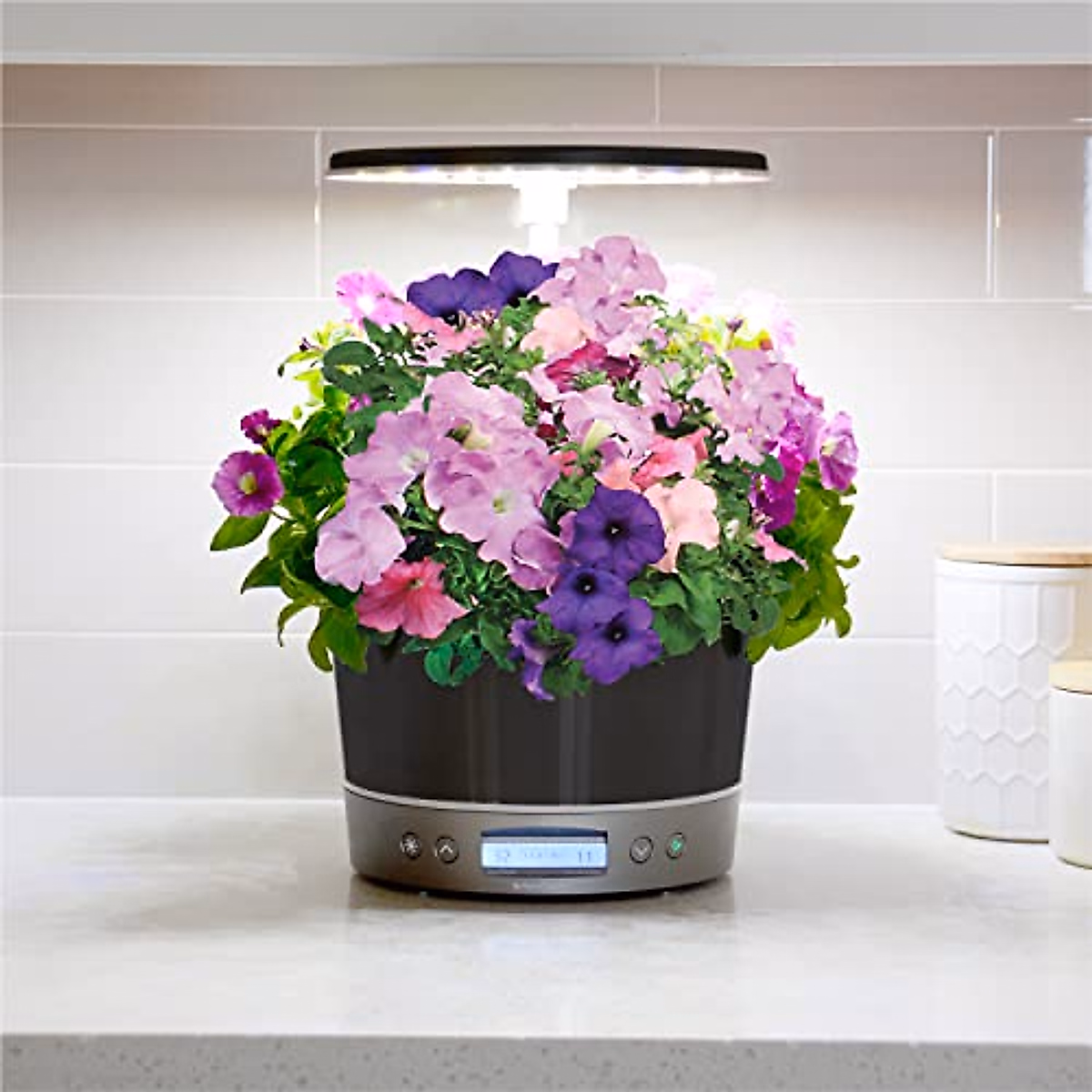 AeroGarden Harvest Elite 360 with Gourmet Herb Seed Pod Kit - Hydroponic Indoor Garden, Platinum Stainless