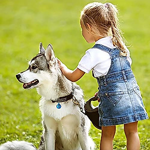 Molain 10 Pcs Cat Dog Collar Bells, Jingle Bell for Cat Collar,Dog Collar Charms,Colourful Pet Small Bells with Clasps Collar Accessories,Festival Party DIY Crafts Decoration