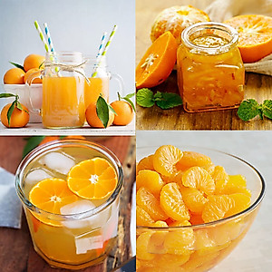 QAUZUY GARDEN 30 Fruit Seeds Orange Tree Seeds Dwarf Washington Navel Grow Indoors or Outdoors Non-GMO Home Garden Garden