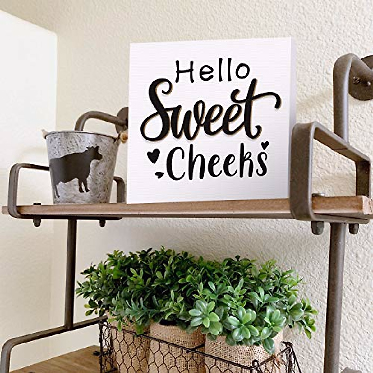 Zingoetrie Funny Bathroom Signs(Set of 3), Farmhouse Bathroom Wooden Wall Decor Restroom Humor Sayings Freestanding Quarter Bathroom Mini Blocks Decorations