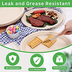 50 Pack Oval Paper Plates,100% Compostable Paper Plates,12 inch Paper Plates Heavy Duty,Disposable Paper Plates,Natural Bagasse Unbleached Eco-Friendly Sugarcane Plates for BBQ Party Picnic Gathering