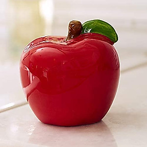 Dish Sponge Holder, Red Apple Scrubby by Home Essentials & Beyond Kitchen Sponge Caddy Includes A Nylon Non-Scratch Dish Scrubber.