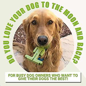 Bullibone Alien Bone: Chew Toy for Aggressive Chewers and Large Dogs
