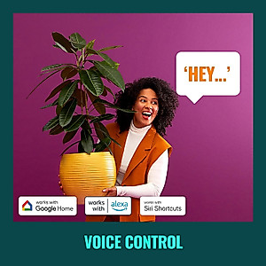 WiZ Connected 60W ST19 Tunable White Filament LED Smart Light Bulbs - Connects to Your Wi-Fi - E26 Smart Bulb - Control with Voice or App + Activate with Motion - Matter Compatible - 1 Pack