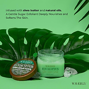 Waverly Eucalyptus- Shea Butter Body Scrub - Gentle Sugar Exfoliant Deeply Nourishes and Softens Skin with Natural Oils