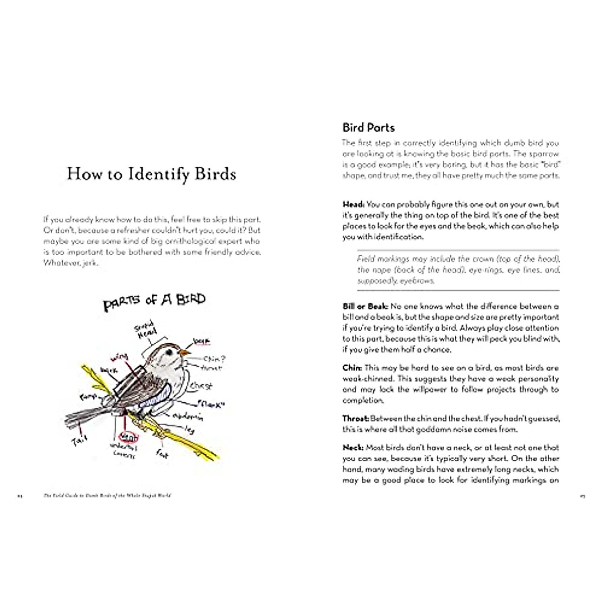 The Field Guide to Dumb Birds of the Whole Stupid World