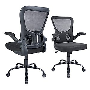 KLASIKA Desk Chairs with Wheels, Ergonomic Mesh Office Chair Adjustable Height and Swivel Lumbar Support Home Office Chair with Flip Up Armrests, Set of 2