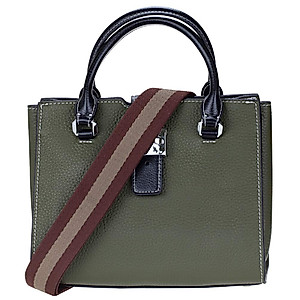 Allzedream Purse Strap Replacement Crossbody Handbag Stripe Wide Adjustable (Chestnut)