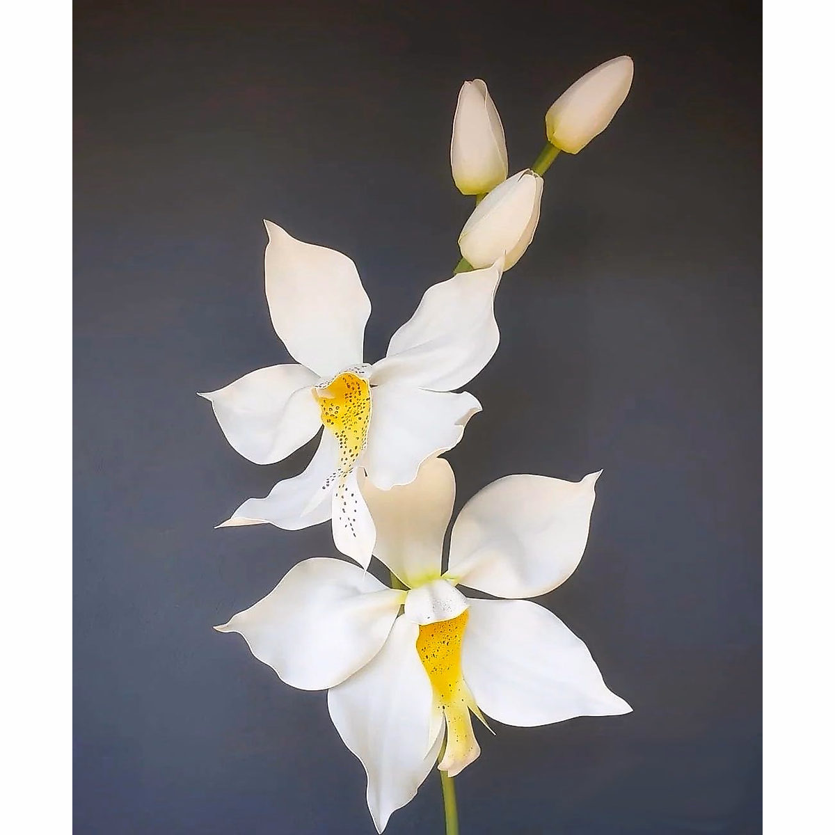 MEARCOOH Foam Sheets Crafts White 9x12 Inch 2mm Eva Color Craft Foam Paper for Crafts Project Preschoolers Classroom Scrapbooking DIY Cosplay(10 Sheets)